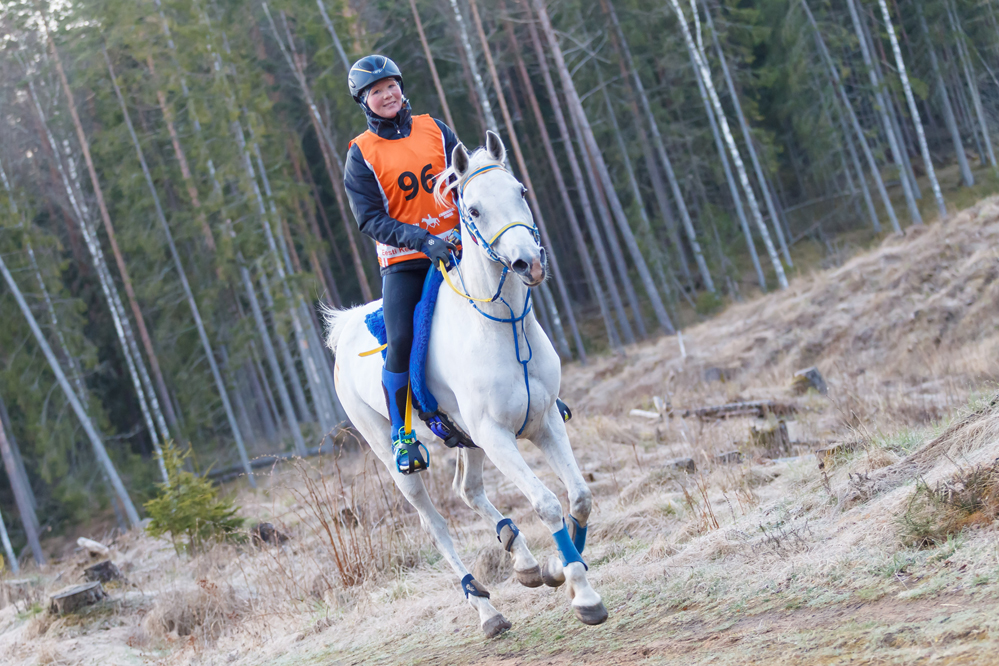 Kestvusratsutajad tegid Kõrvemaal ajalugu