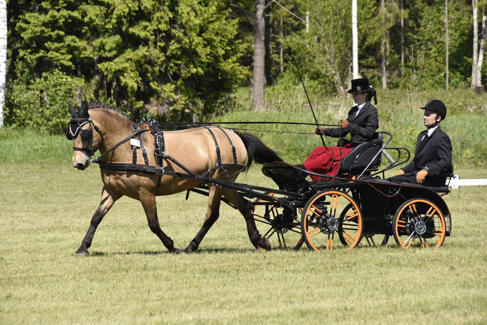 ERL-i Rakendispordi Karikasari algas Maria Talus Pille-Riin Reinausi ja ...